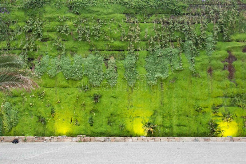 Ecological green wall stock photo. Image of environmental - 70271236
