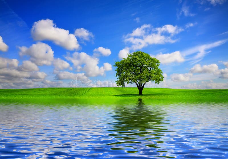 Ecological Green Zone Landscape in Spring Stock Illustration ...