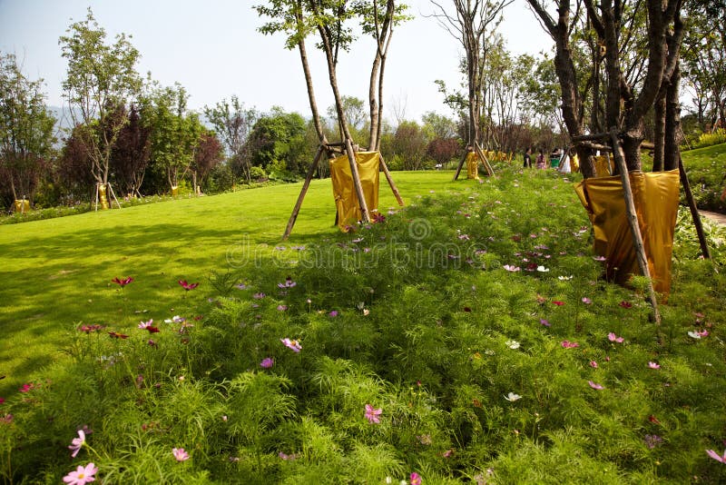 Ecological meadow editorial image. Image of fairyland - 40388655
