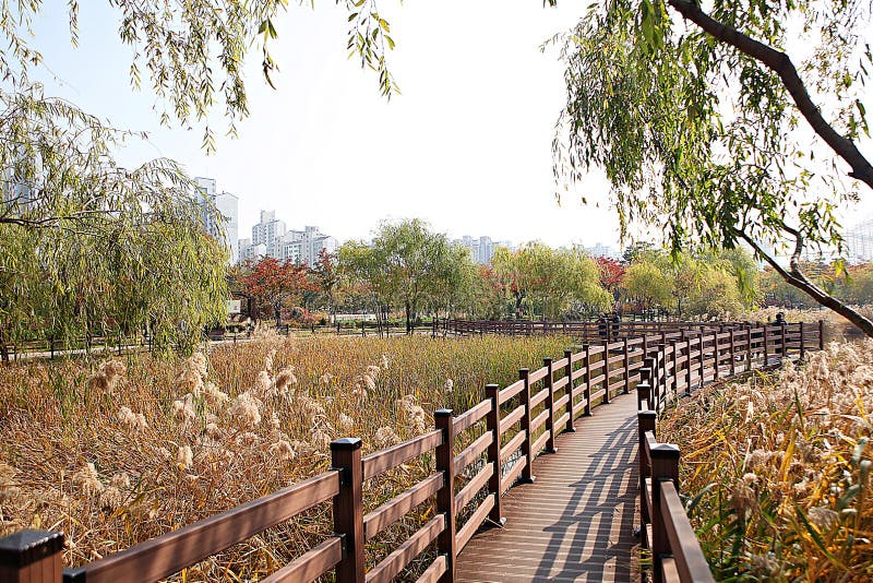 Korea ecological park editorial photography. Image of koreapark - 216209332