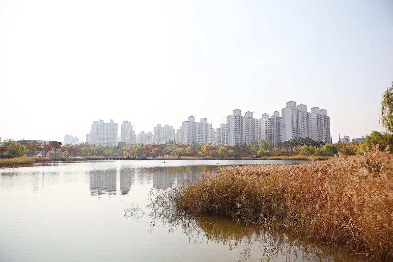 Korea ecological park editorial photo. Image of observatory - 216209341