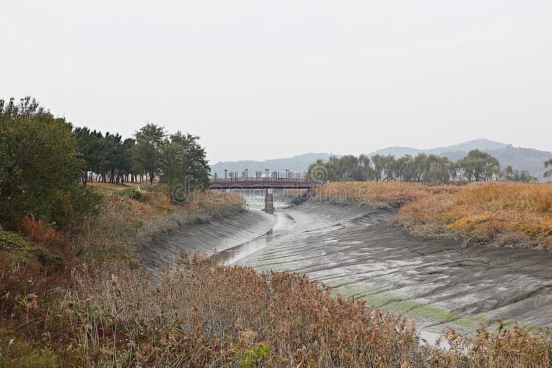 Korea ecological park editorial photography. Image of plants - 216208067
