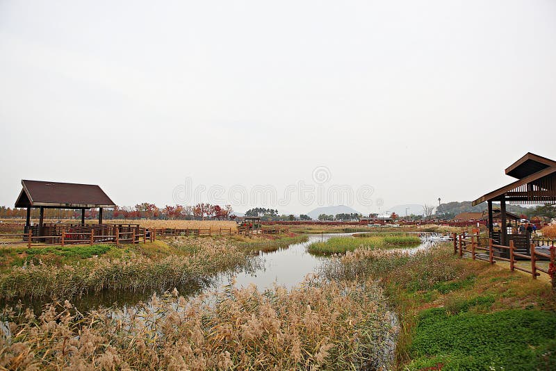 Korea ecological park editorial image. Image of water - 216208480