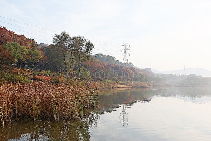Korea ecological park stock image. Image of field, nature - 216208905