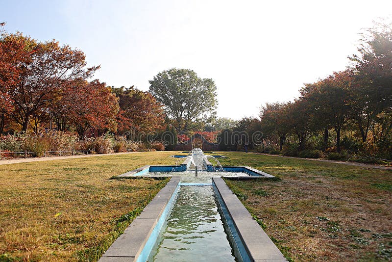 Korea ecological park editorial photo. Image of field - 216209246