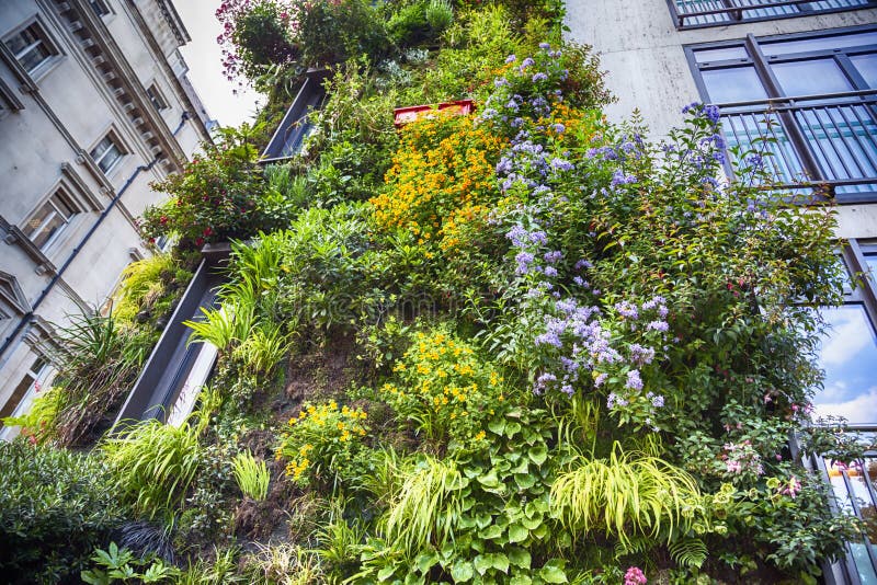 Ecological Plant Decoration Stock Photo - Image of plant, home: 41471300