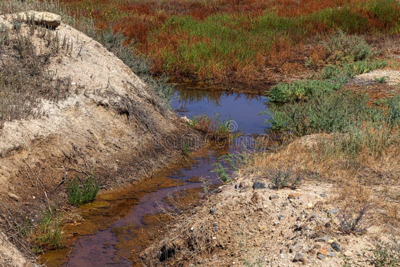 The Ecological Problem of Poor Countries is the Discharge of Liquid ...