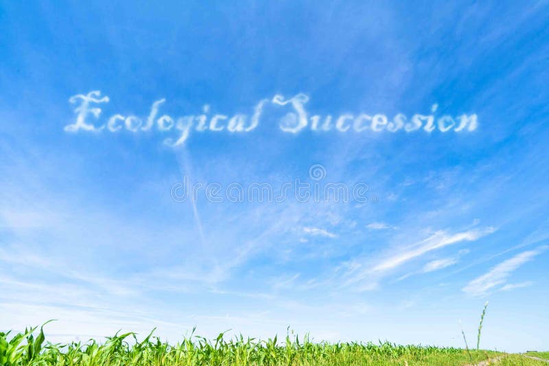 Ecological Succession: the Gradual Change in Species Composition and ...