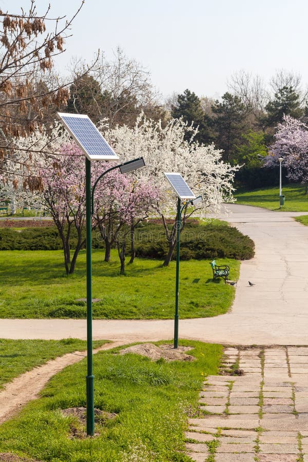 Solar Panels In A Public Park - Alternative Energy Stock Photo - Image ...