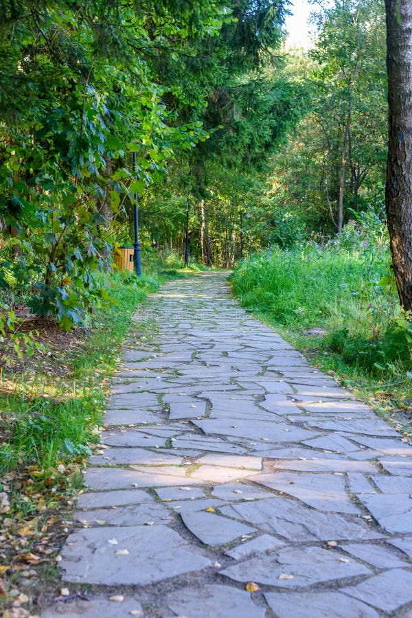 Ecological Walking Path Made of Stone Floor Slabs among Trees. Stock ...
