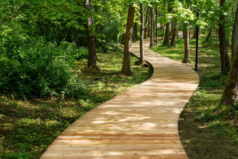 Ecological Wooden Toothbrush and Fresh Green Leaves on a Yellow ...