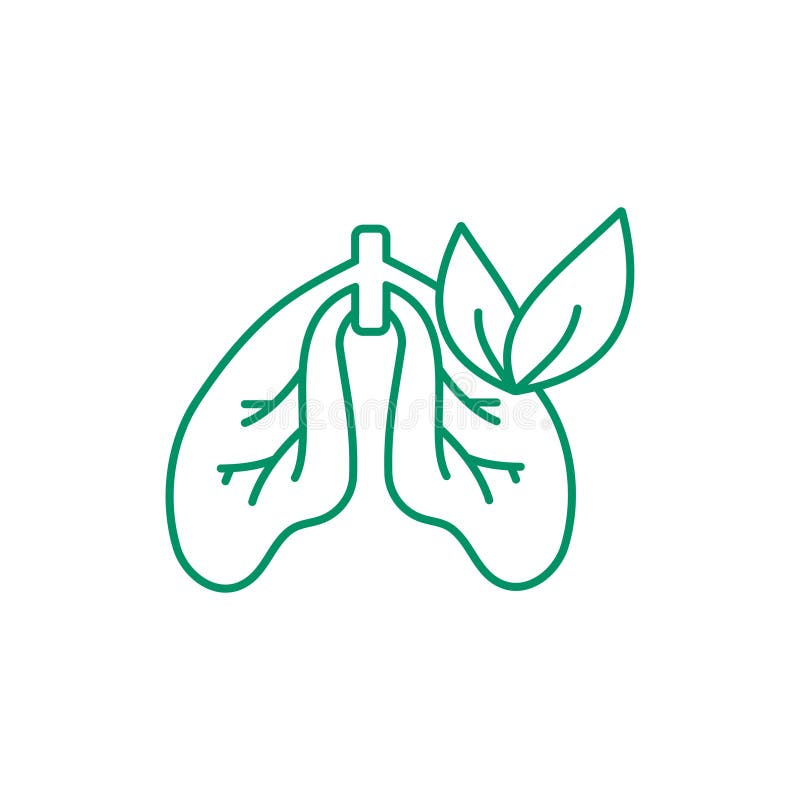 Ecologically Clean Human Lungs Icon. Ecological Breathing Vector Stock ...
