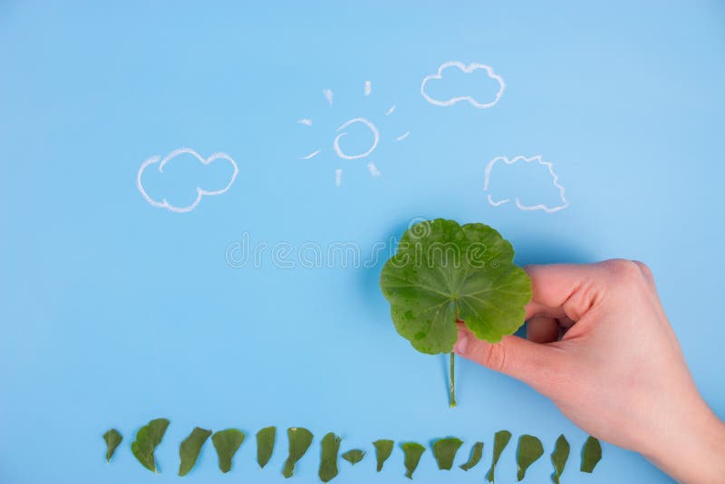 Ecologically Friendly and Sustainable Environment Concept. Plant Trees ...