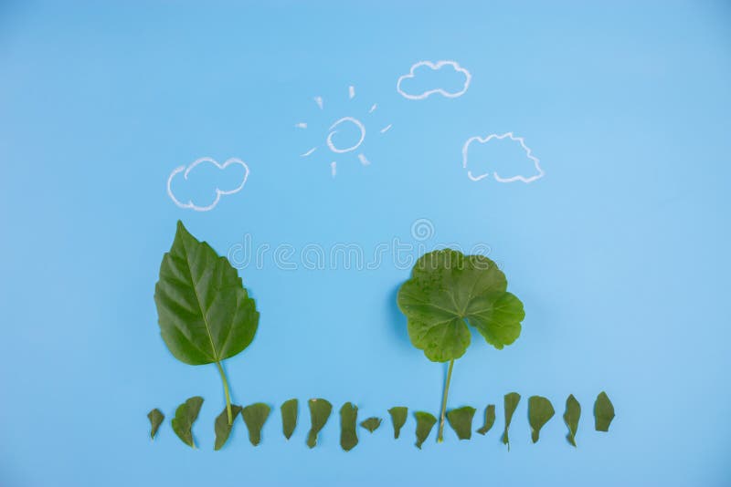 Ecologically Friendly and Sustainable Environment Concept. Plant Trees ...