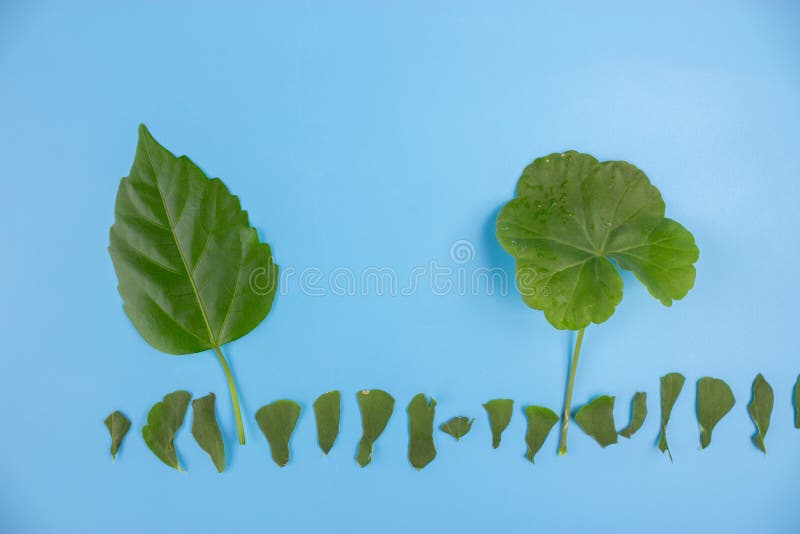 Ecologically Friendly and Sustainable Environment Concept. Plant Trees ...