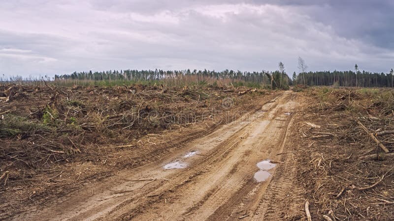 Gevolgen Van Ontbossing Rond Rivier in De Herfstkleur Stock Afbeelding ...