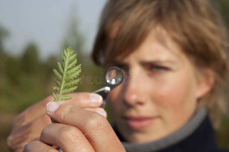 Ecologist Determined a Plant Stock Photo - Image of magnifier ...