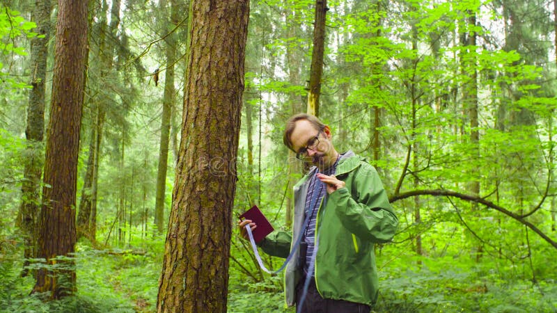 The Ecologist in a Forest Measuring a Tree Trunk Stock Footage - Video ...