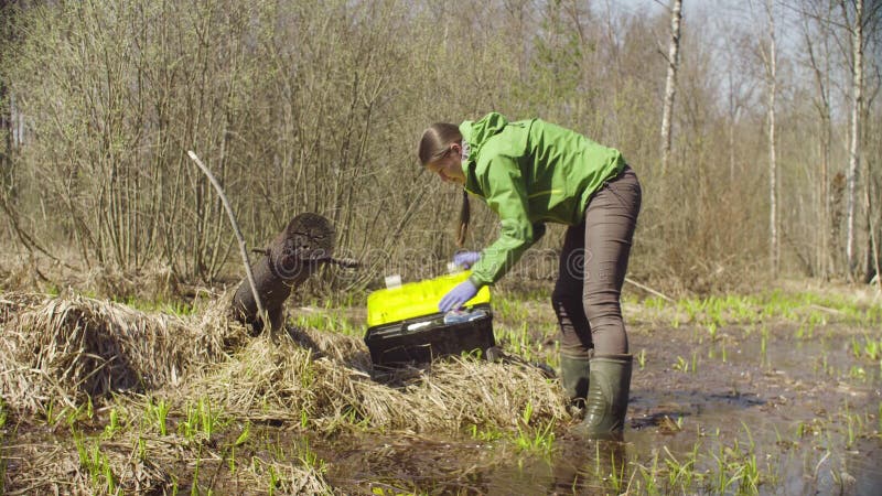 Ecologist in the Forest Putting the Map into Tool Box Stock Video ...