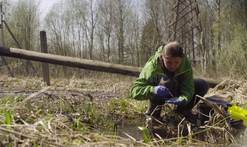 Ecologist Getting Samples in the Forest Stock Photo - Image of social ...