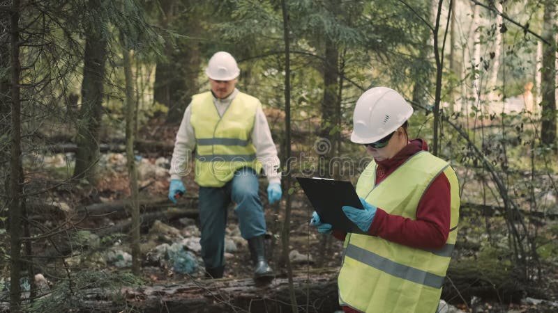 Ecologist Man in Workwear and Helmet Collects Plastic Garbage in Forest ...