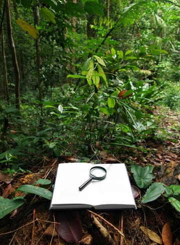 Ecologist at work concept stock image. Image of scientific - 13240559