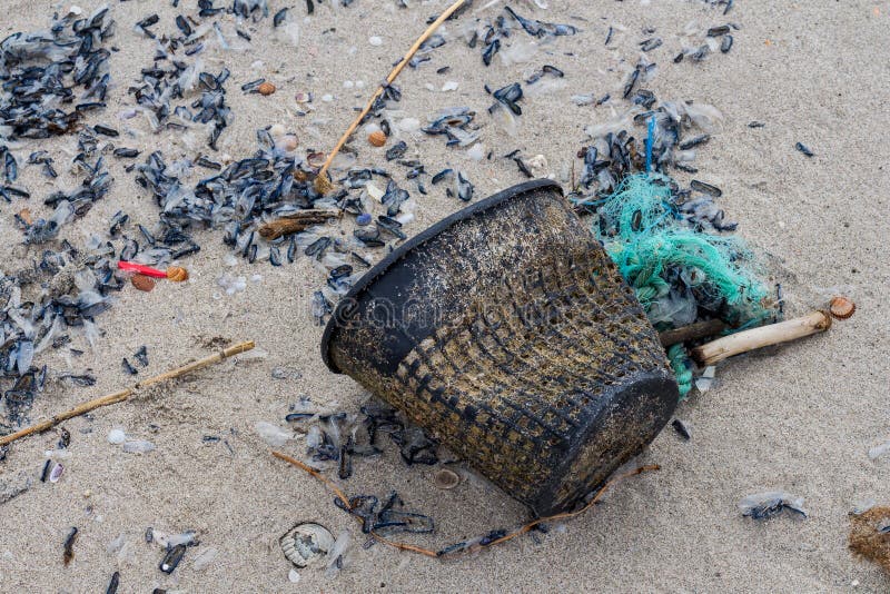 Ecology: Beach Discoveries - Plastic Basket Stock Image - Image of ...