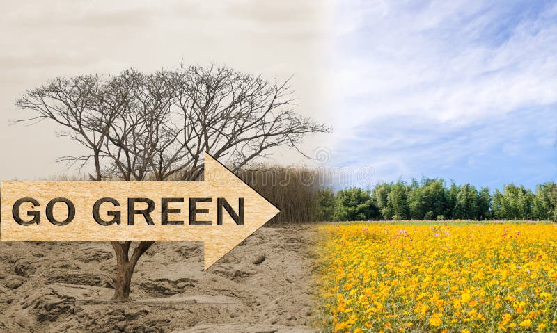 832 Go Green Tree World Stock Photos - Free & Royalty-Free Stock Photos ...