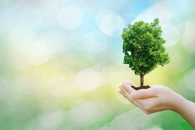 Ecology Concept Human Hands Holding Big Plant Face Tree Look World ...