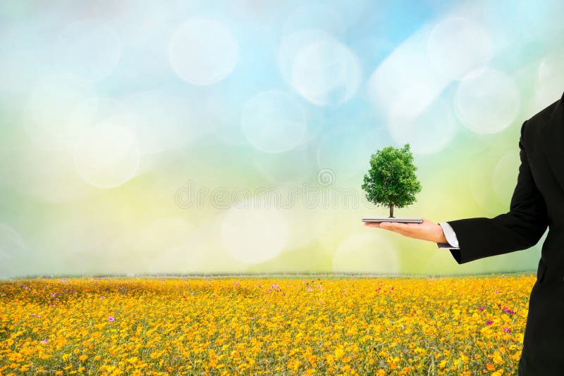 Ecology Concept Human Hands Holding Big Plant Tree with Stock Image ... Ecology Concept Human Hands Holding Big Plant Tree with Stock Image ...