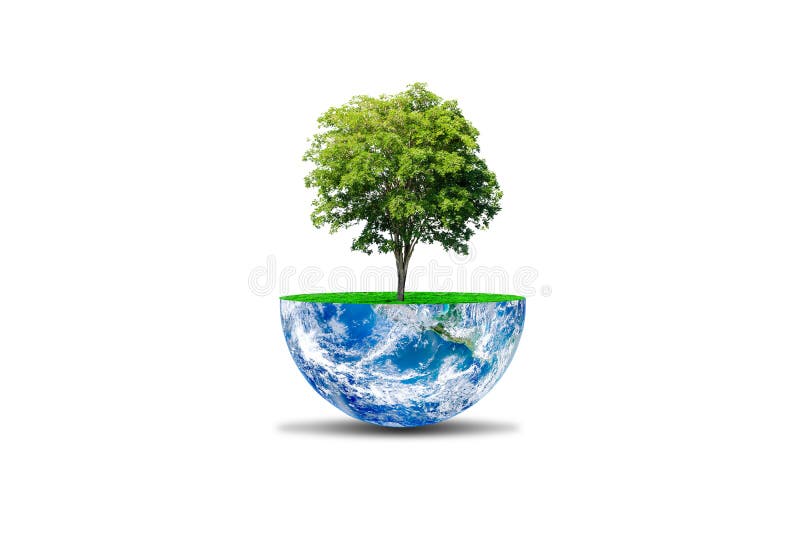 Green Tree Growth on Planet Earth Globe Isolated on White Background ...