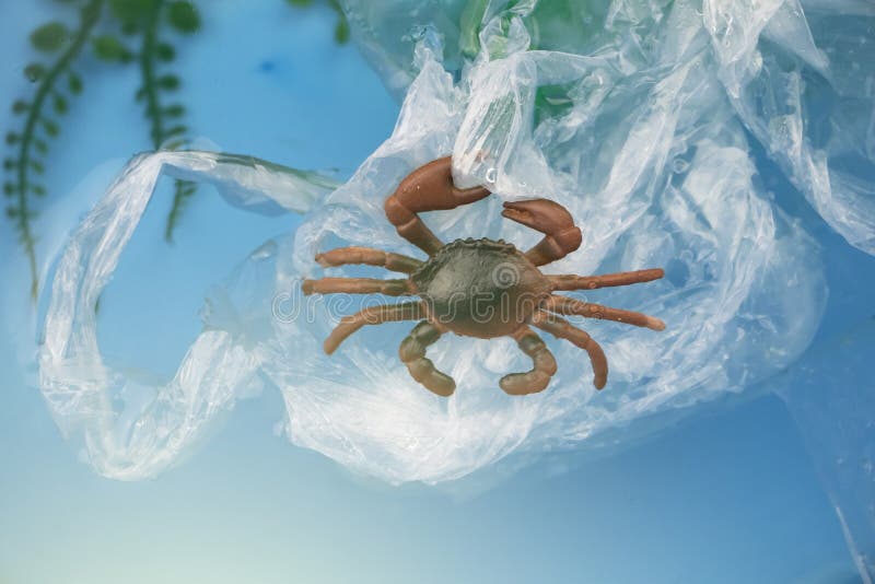 Small Crab Entangled in a Plastic Bag. Plastic Pollution of the Oceans ...