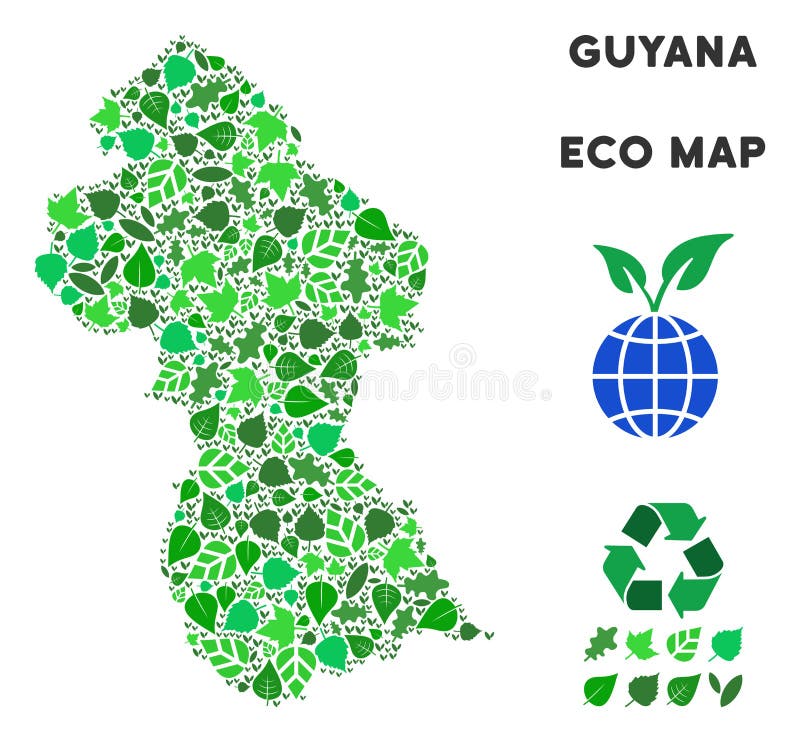 Vector Eco Green Composition Guyana Map Stock Vector - Illustration of ...