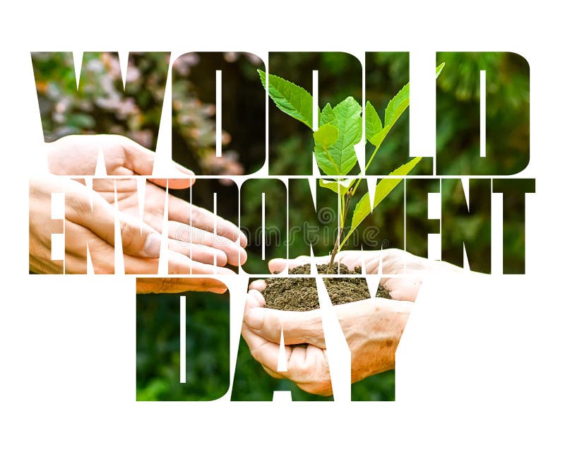 World Environment Day Text, Old and Young Hands, Green Sprout, White ...