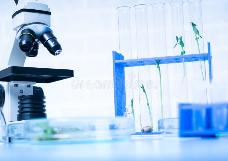 Ecology Laboratory Exploring New Methods of Plant Breeding Stock Image ...