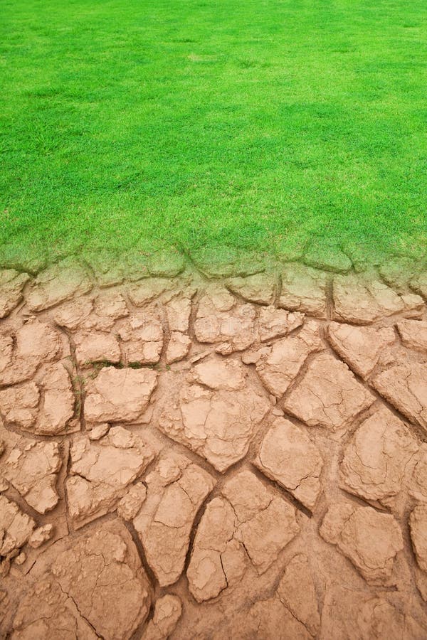 Ecology landscape stock image. Image of grass, ecology - 24776399