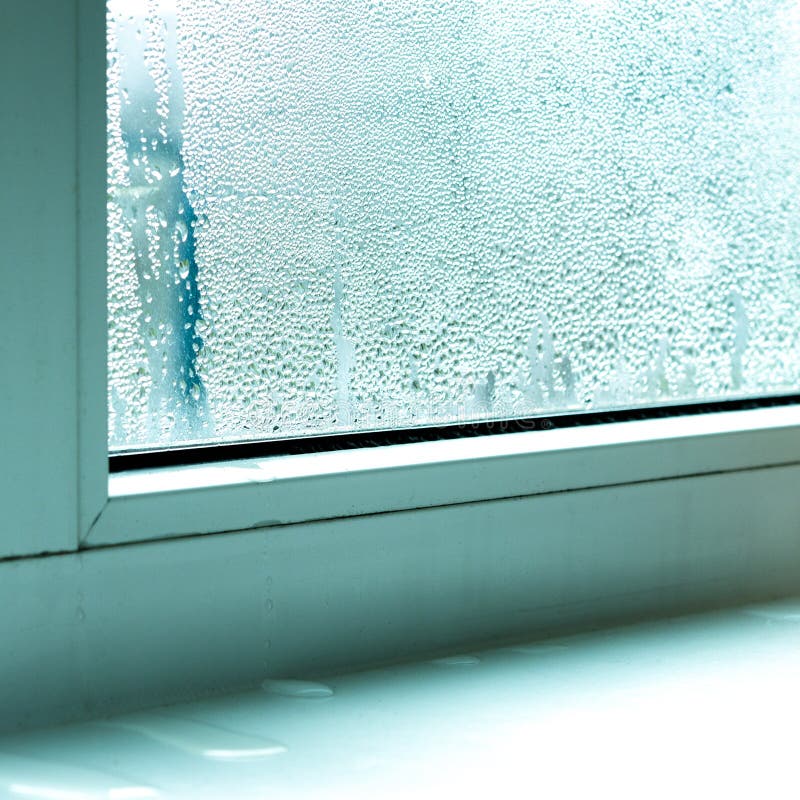 Ecology Problems. Condensation and Black Mold on White Plastic Windows ...