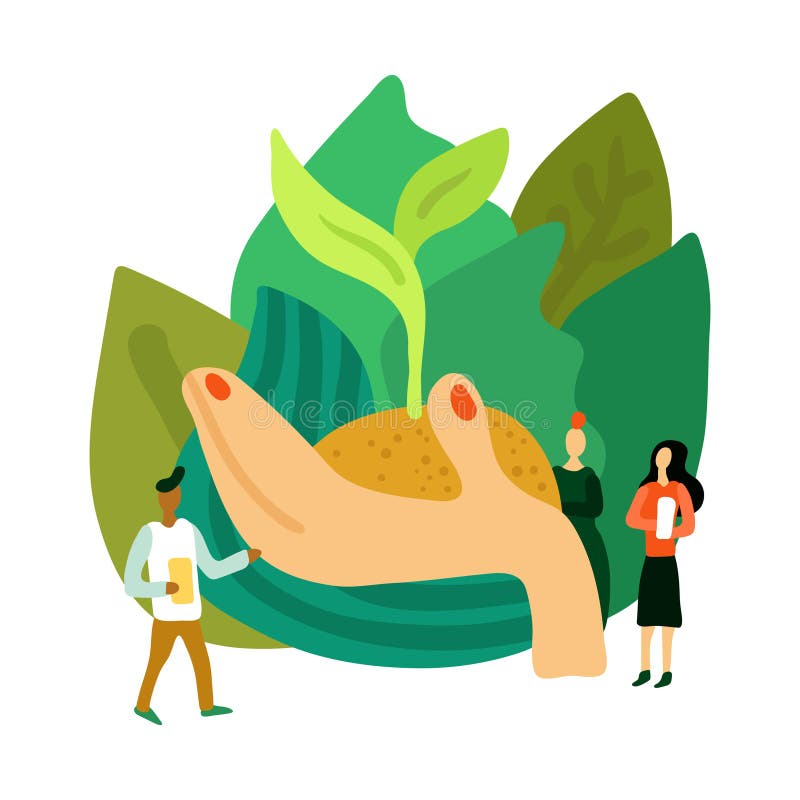 Forest Restoration Stock Illustrations – 921 Forest Restoration Stock ...