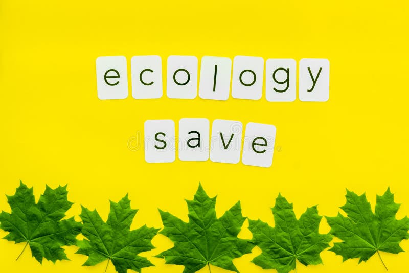 Ecology Save Concept with Maple Leave on Yellow Background Top View ...
