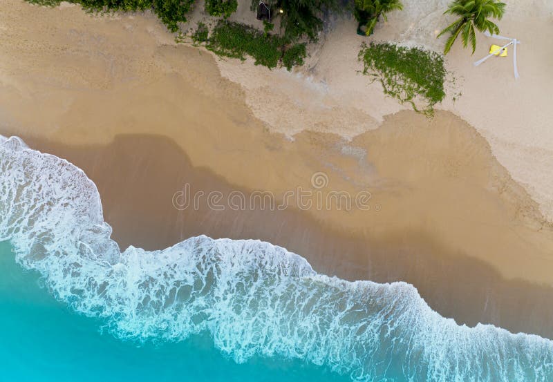 The Ecology System with a Wave Water Energy on the Beach As Seashore ...