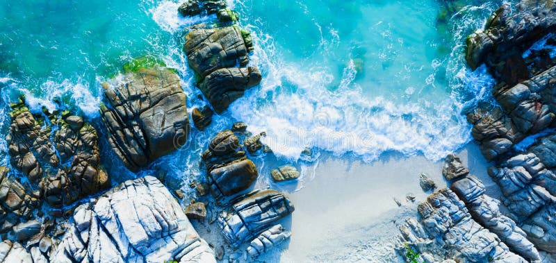 The Ecology System with a Wave Water Energy on the Beach As Seashore ...