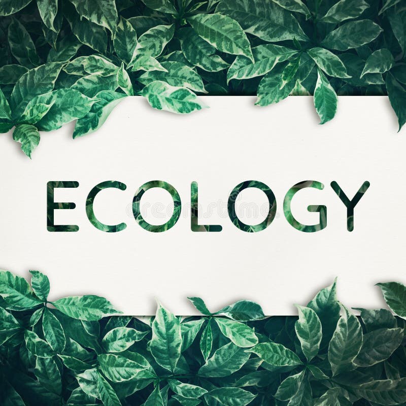 Ecology Text with Green Leaf.friendly,eco Environment,concept Stock ...