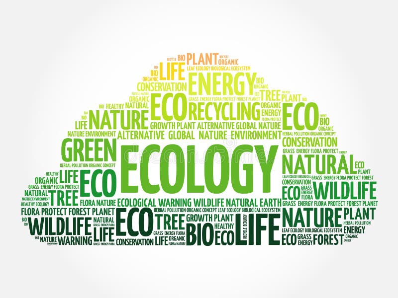 Ecology word cloud collage stock image. Image of board - 200053697