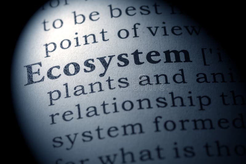 Definition of the Word Ecosystem Stock Photo - Image of printing, word ...