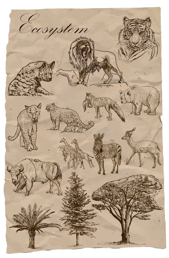 Ecosystem - an Hand Drawn Collection. Animals. Stock Vector ...