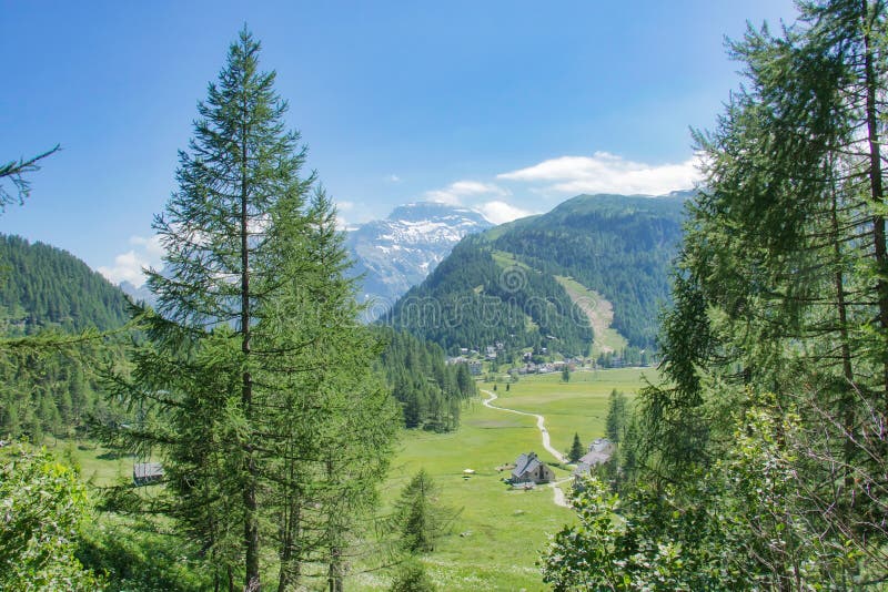 Ecosystem, Vegetation, Wilderness, Nature Reserve Picture. Image: 125017099