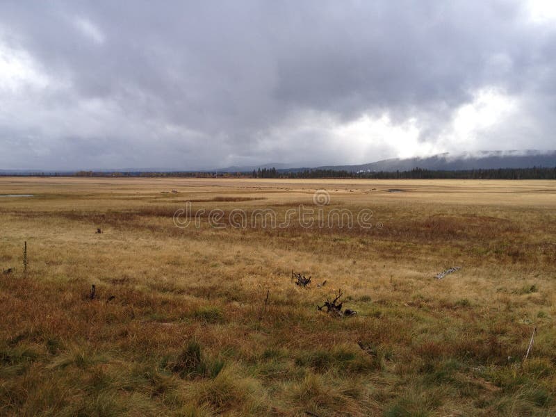 Ecosystem, Plain, Grassland, Steppe Stock Image - Image of cloud ...