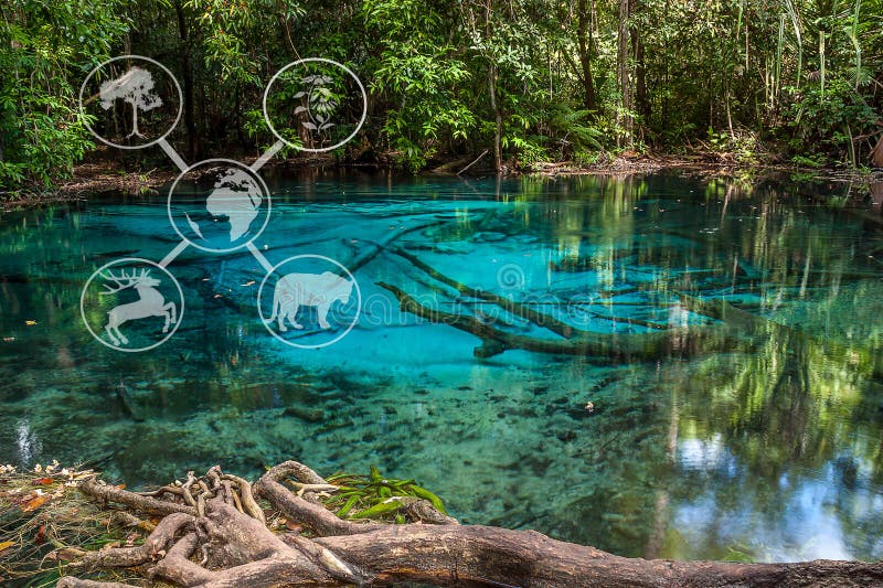 Ecosystem and Preserve Nature and Sustainable Concept Stock Photo ...