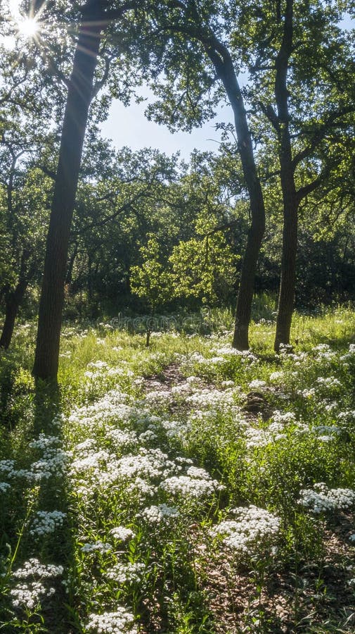 Ecosystem Restoration Project Removing Invasive Species and ...
