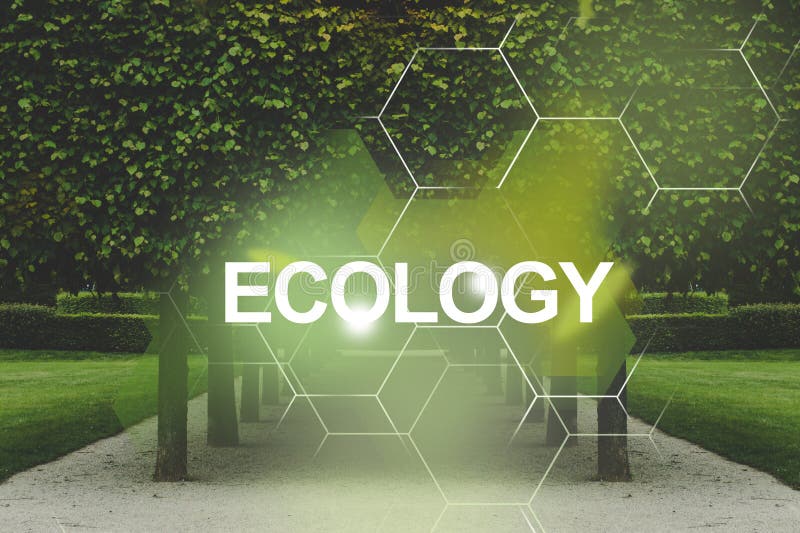 Ecology Clean Tidy Park with Green Trees Stock Photo - Image of future ...